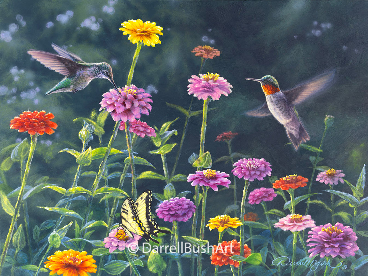 Darrell Bush Fine Art – Darrell Bush Art