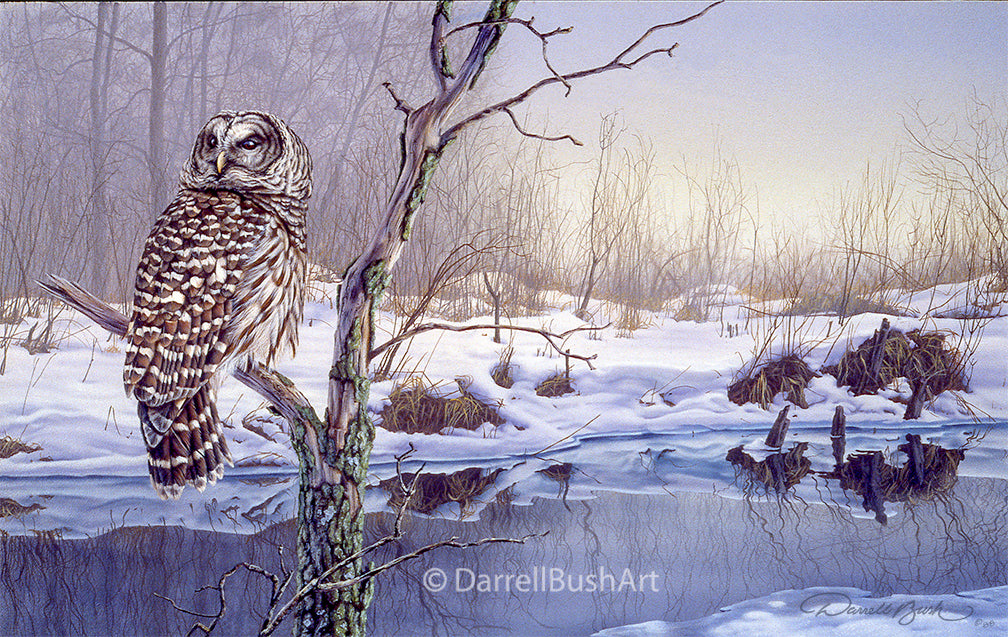 Darrell Bush Fine Art – Darrell Bush Art